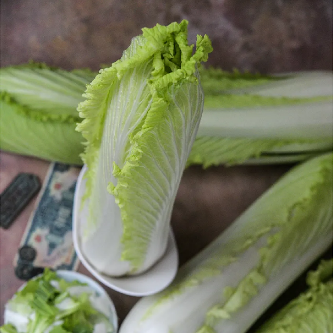Chinese / Napa Cabbage (कैबेज) 1pc (250 - 400gm)