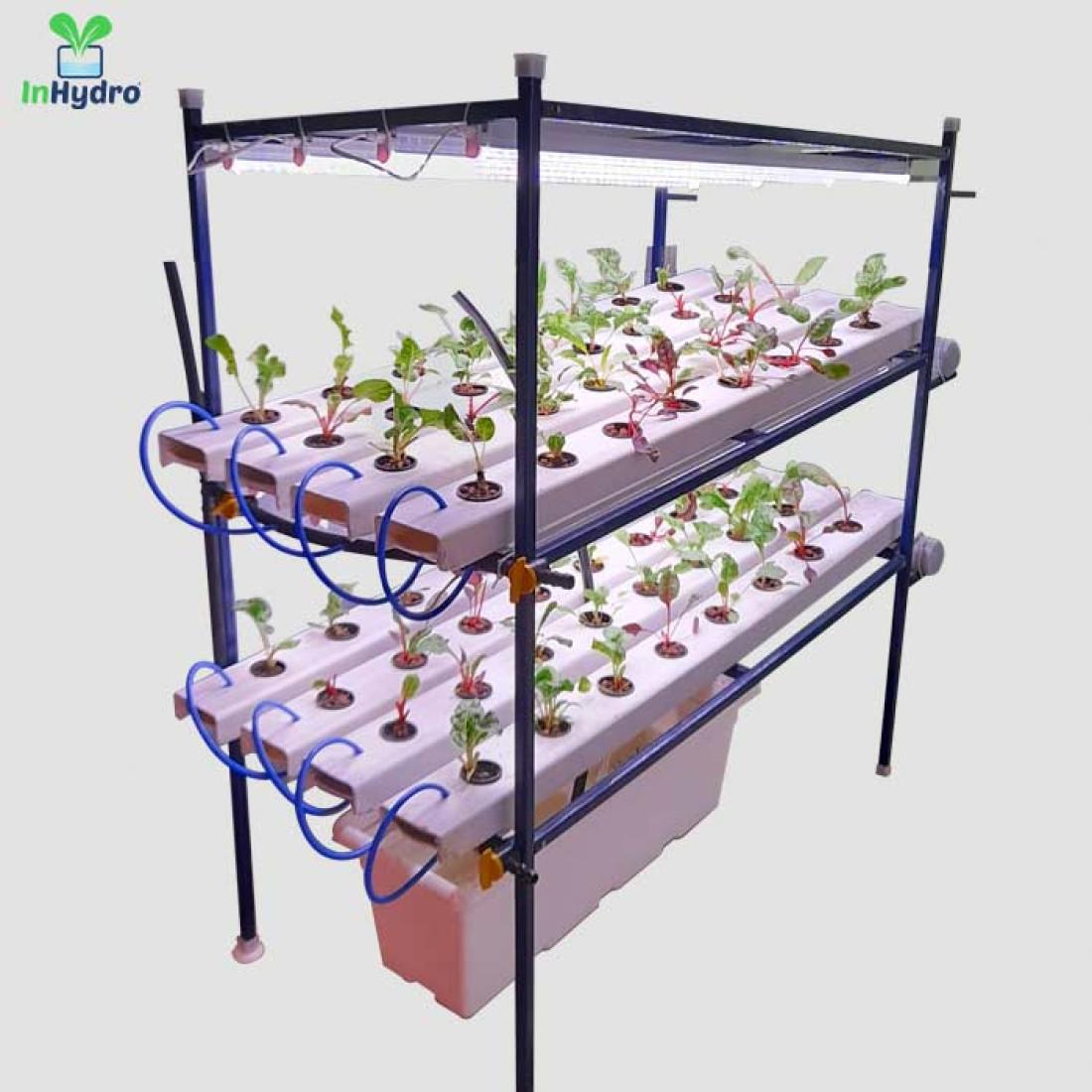 64 Plants Indoor Hydroponic Rack System
